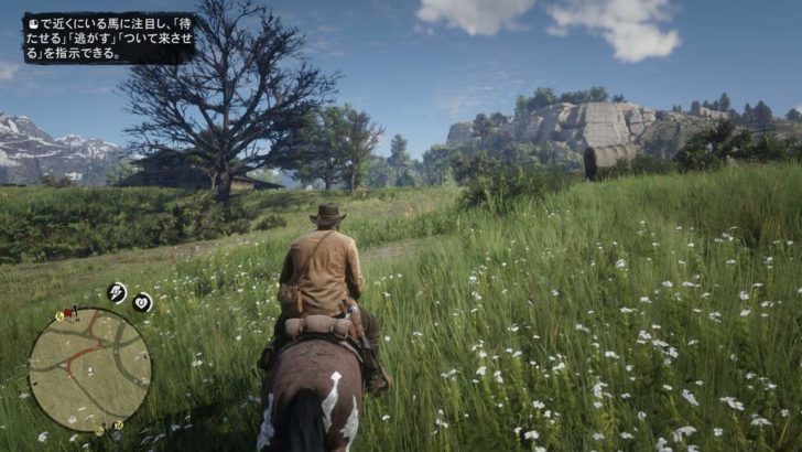 PC版RDR2・RDOは無規制かつ世界共通サーバーで遊べて日本語に対応